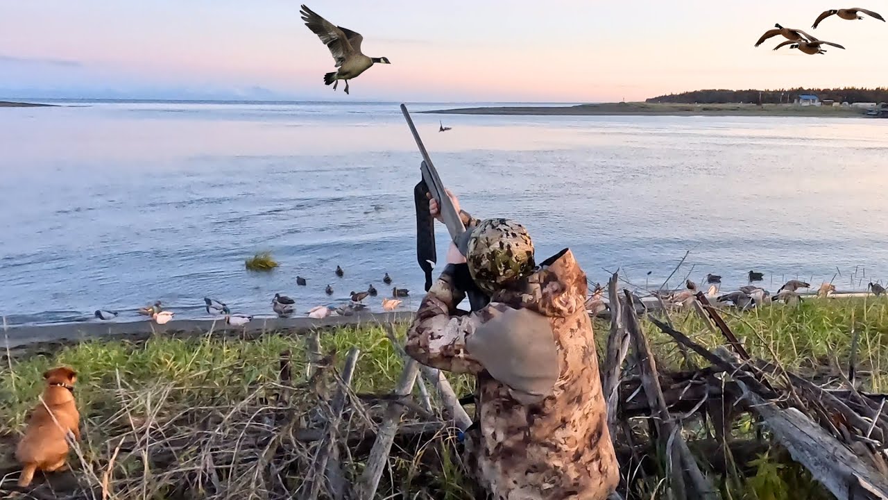 Alaska GOOSE HUNTING | Crazy Setup On A BEACH! (Mixed Bag) - YouTube