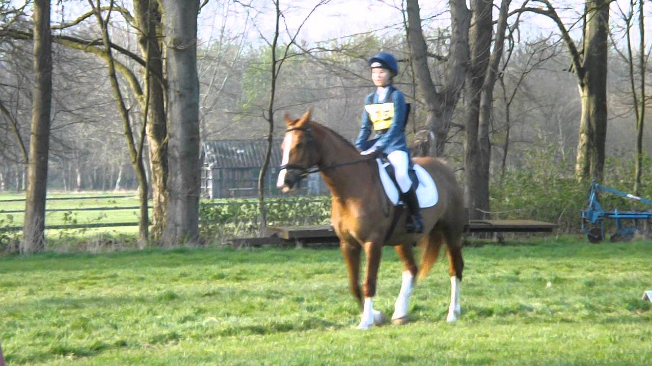 Prelim 7, 29.3.14, 70cm Lands Eventing ODE - YouTube