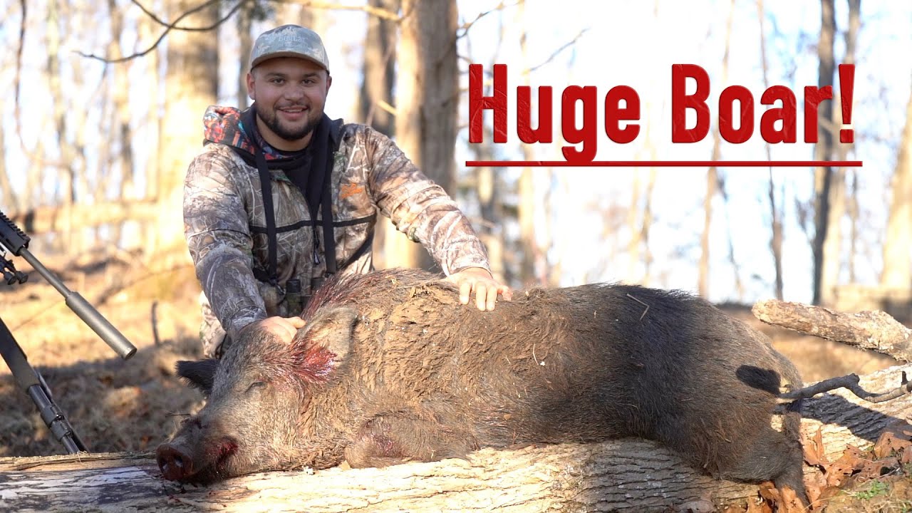 RUSSIAN BOAR HUNTING - YouTube