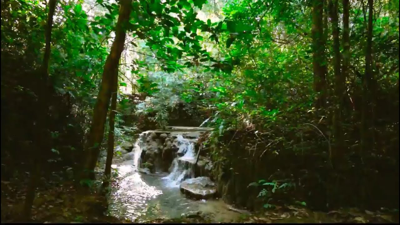 Satisfying Waterfall Birds Rain Sounds Meditation Soothing sounds Deep ...