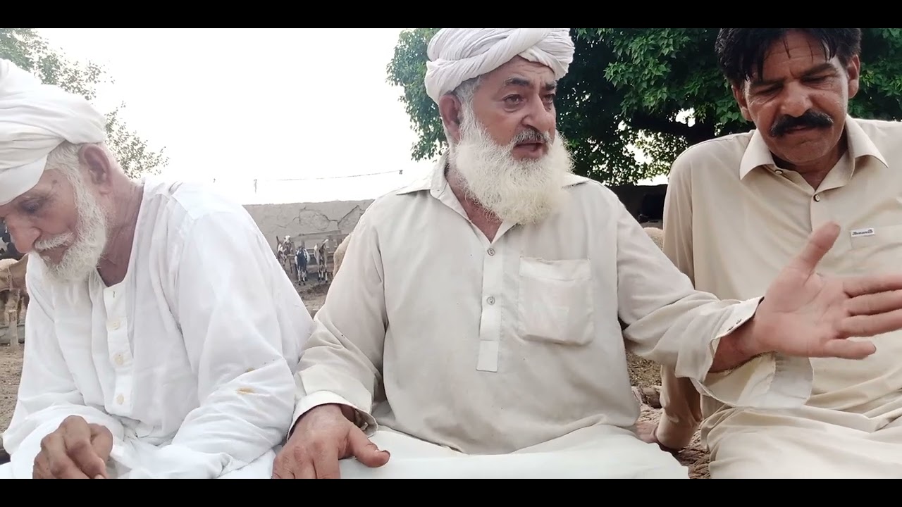 Mirza Jutt, Apna pind Apni Ronaq - YouTube