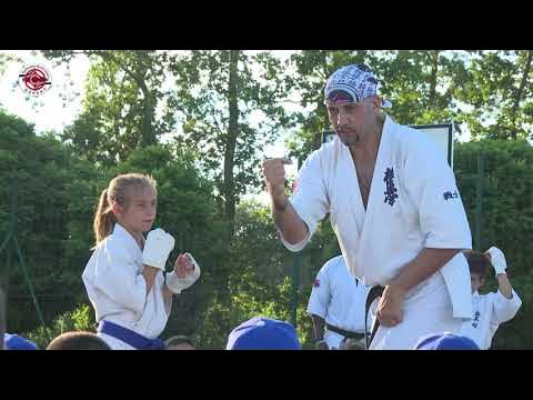 Shihan Glaube Feitosa taught defense - YouTube