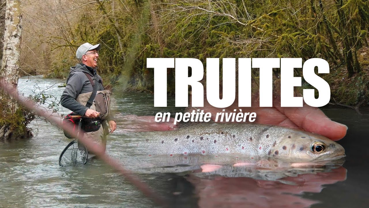 Pêche de la truite au leurre en petite rivière - YouTube