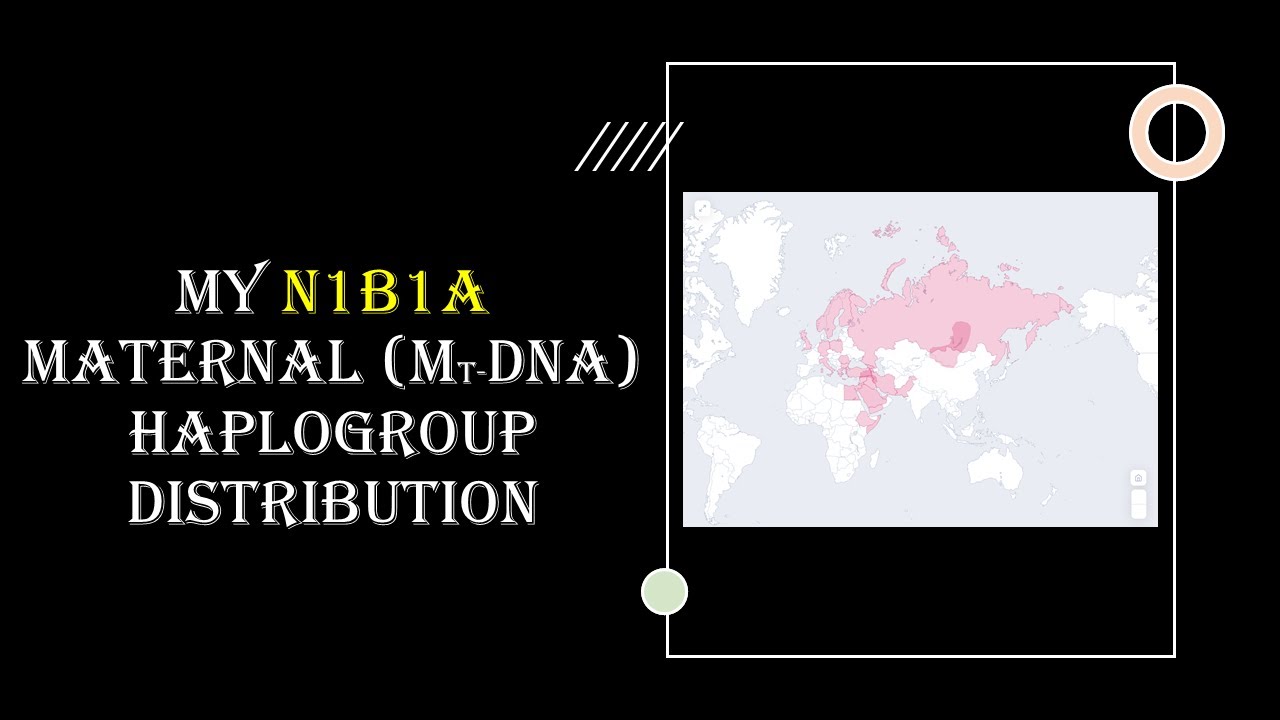 My (N1b1a) Maternal mtDNA haplogroup distribution #LivingDNA #Genealogy ...