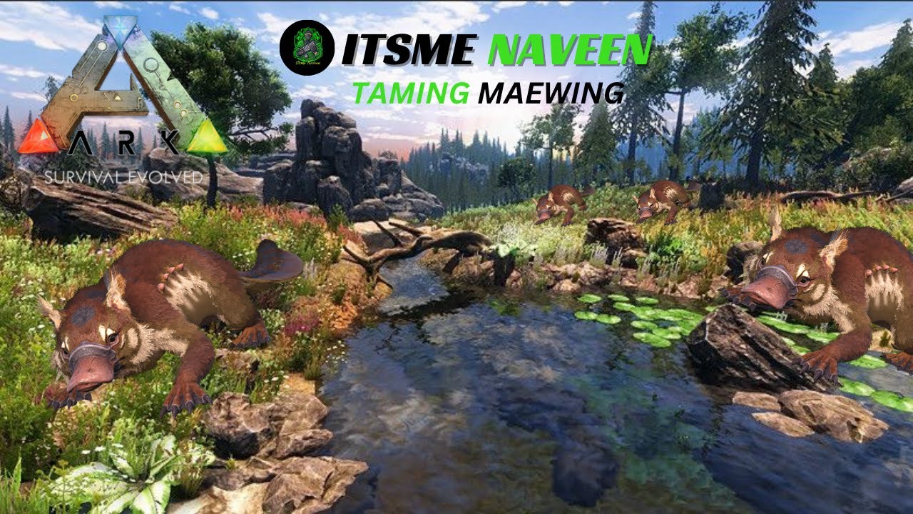 TAMING MAEWING || #ITSMENAVEEN #ARK #TAMIL - YouTube
