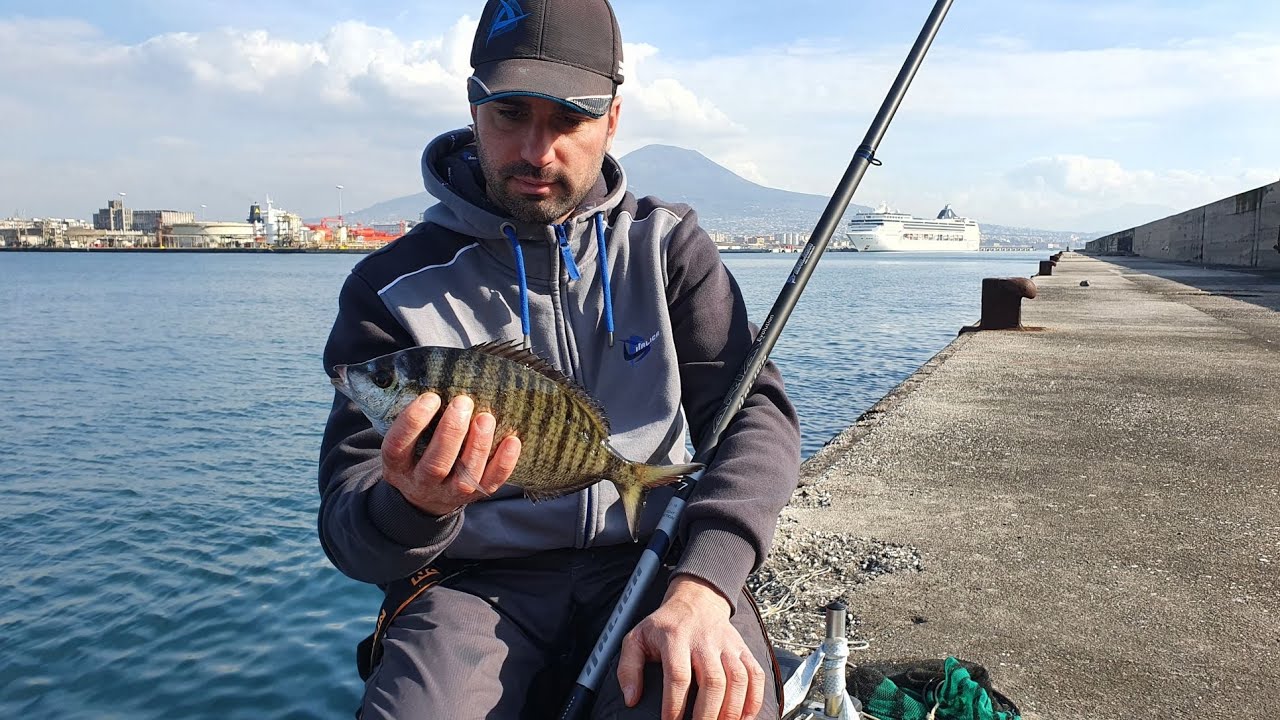 Come pescare il sarago pizzuto dalla diga portuale. - YouTube