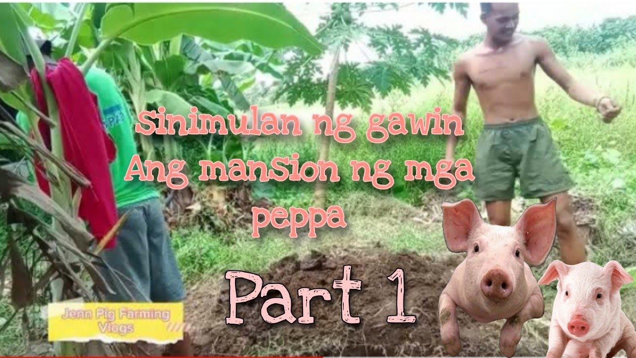 Gawa tayo ng bagong piggery para sa baby pigs #hograising # ...