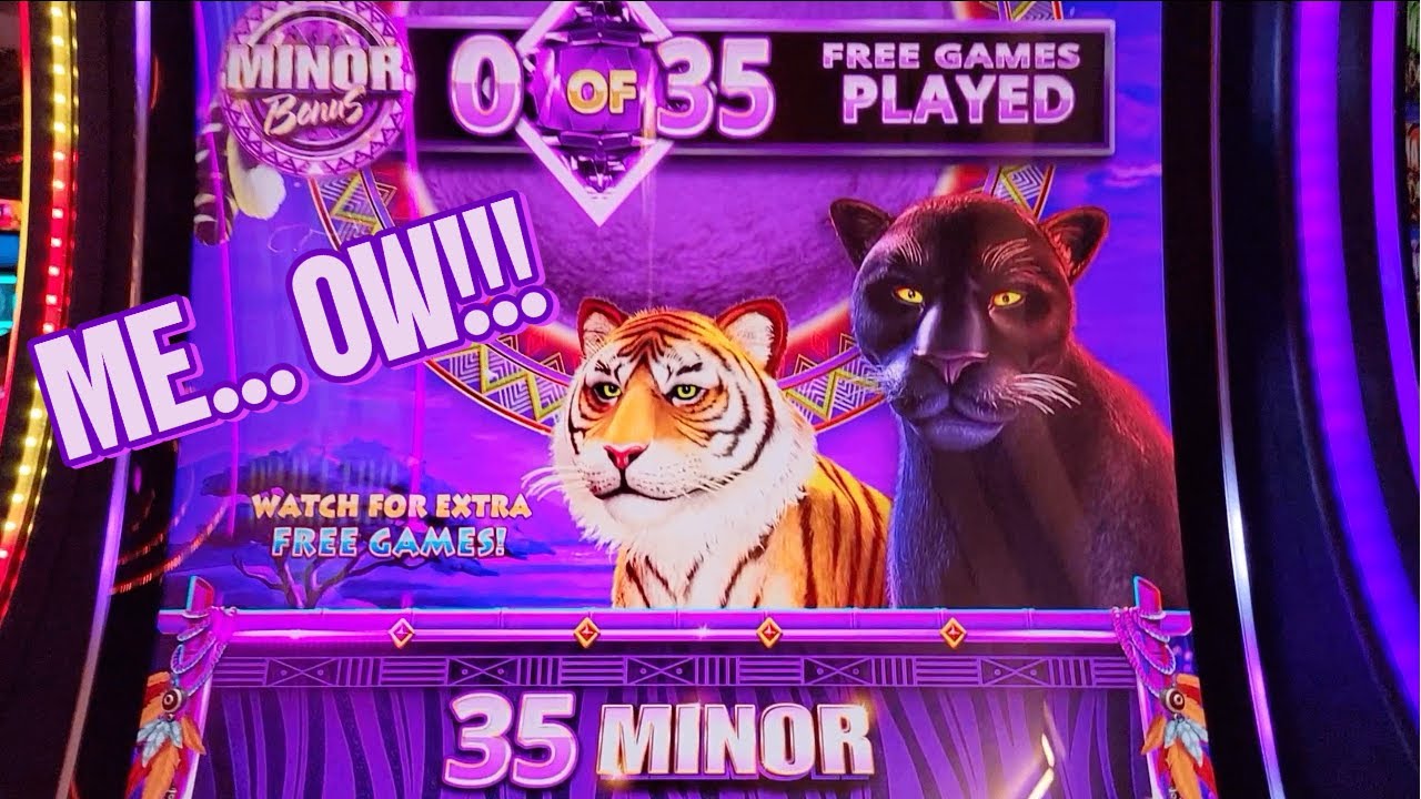 CHASING My Tail on a BIG MINOR!!! 🐾 Cats Wild Serengeti - YouTube