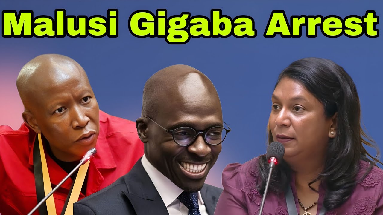 Julius Malema Hinted the arrest of Malusi Gigaba before it happened ...