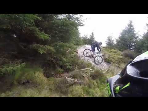 Whinlatter Forest Mountain Bike Trails - YouTube