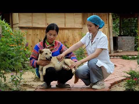 Han, veterinerin Lu Lu'nun sağlık durumu hakkındaki açıklamasına son derece şaşırdı.