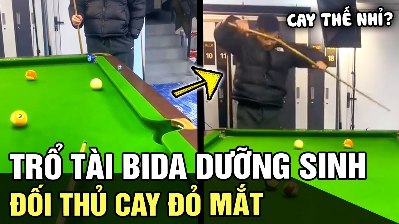 Khi BIDA DƯỠNG SINH gặp BIDA THỂ LỰC: cảnh giới tối thượng khiến đối ...