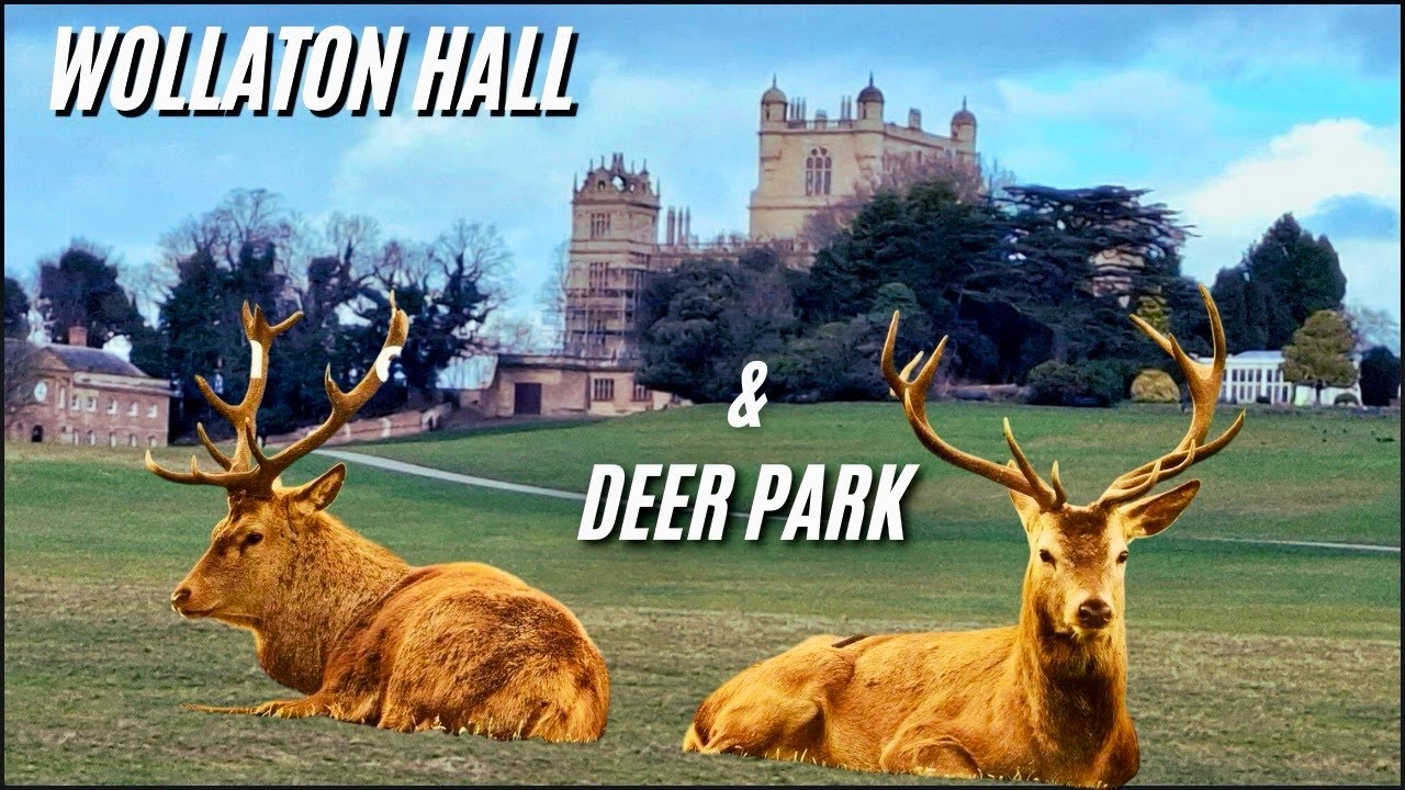 Stunning Wollaton Hall and Deer Park Adventure in Must-Try Walking ...