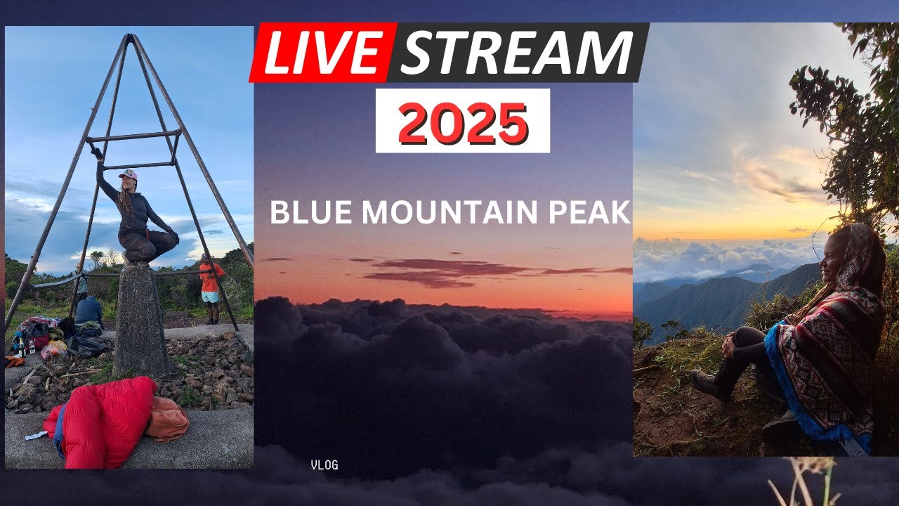 First Live in 2025 UPDATES - YouTube