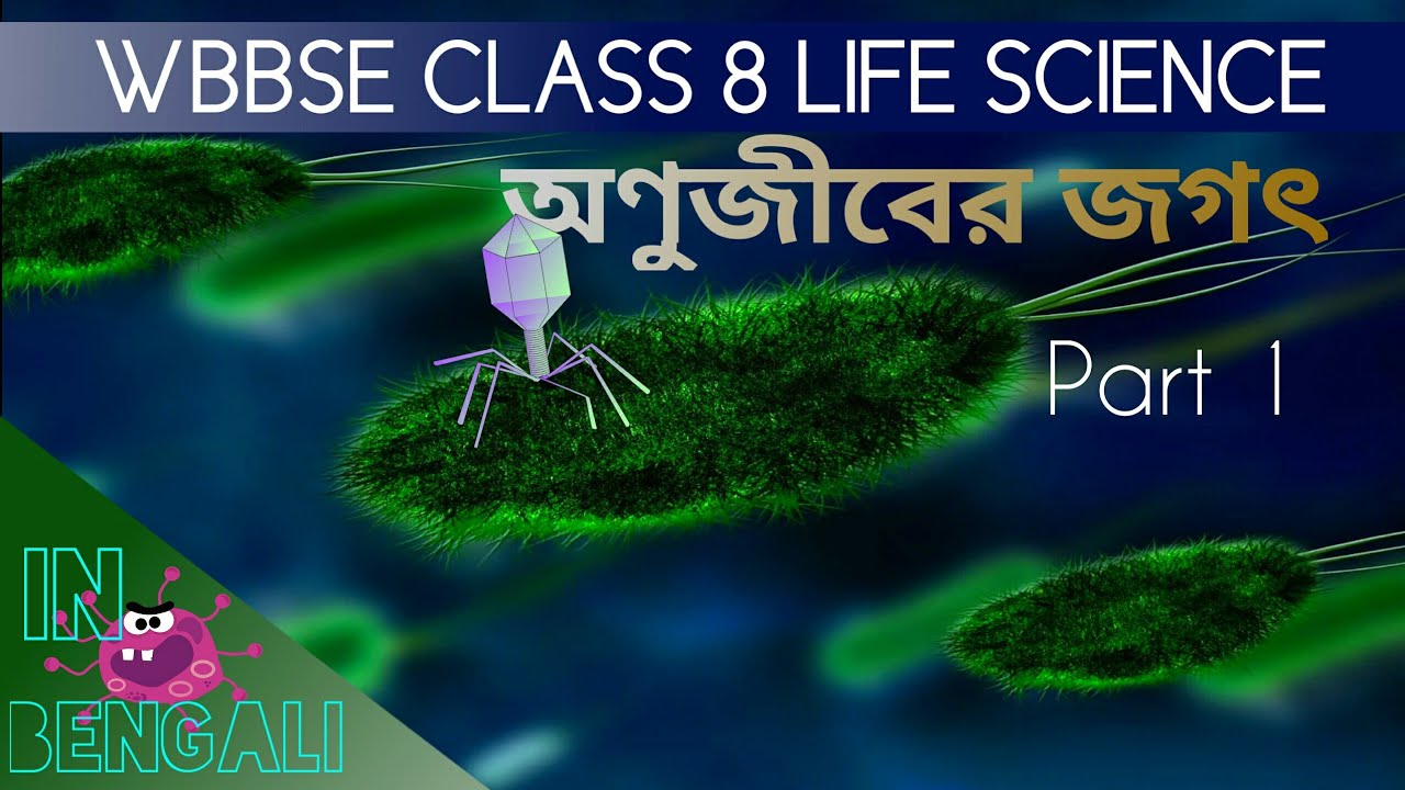 WBBSE Class 8 Life Science Chapter No 7 World Of Microorganism wbbse-class-8-life-science-chapter-no-7-world-of-microorganism