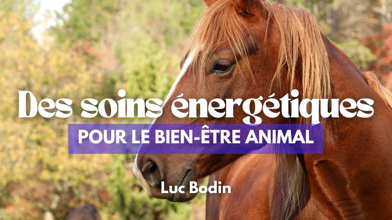 Vidéo explicative des soins énergétiques intemporels - Luc Bodin
