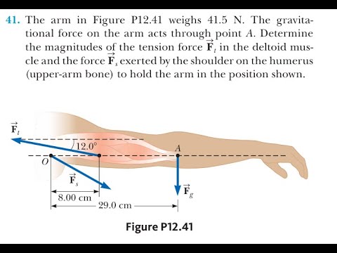 The arm in Figure Pl2.41 weighs 41.5 N. The gravitational force on the ...
