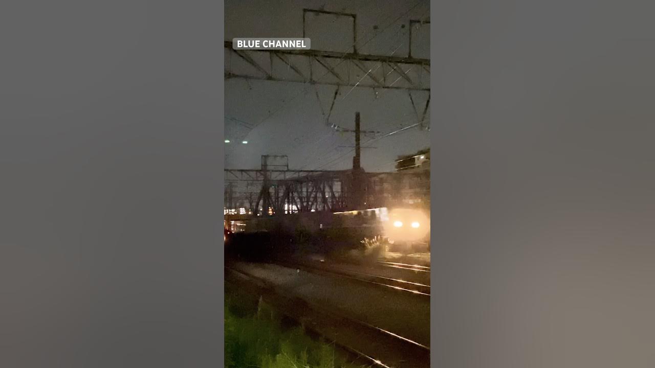 (貨物列車) 2024/09/18 2050レ EF210-125 + コキ20B トヨタロングパスエクスプレス (＋25分) (笠寺〜盛岡タ) #Shorts - YouTube