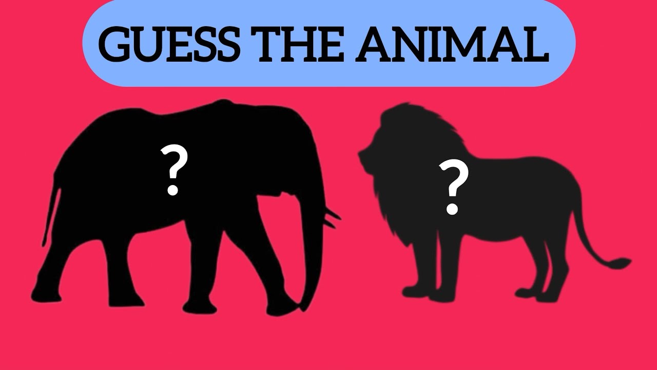 Guess the Animal by Their Silhouette | Fun Learning for Kids - YouTube