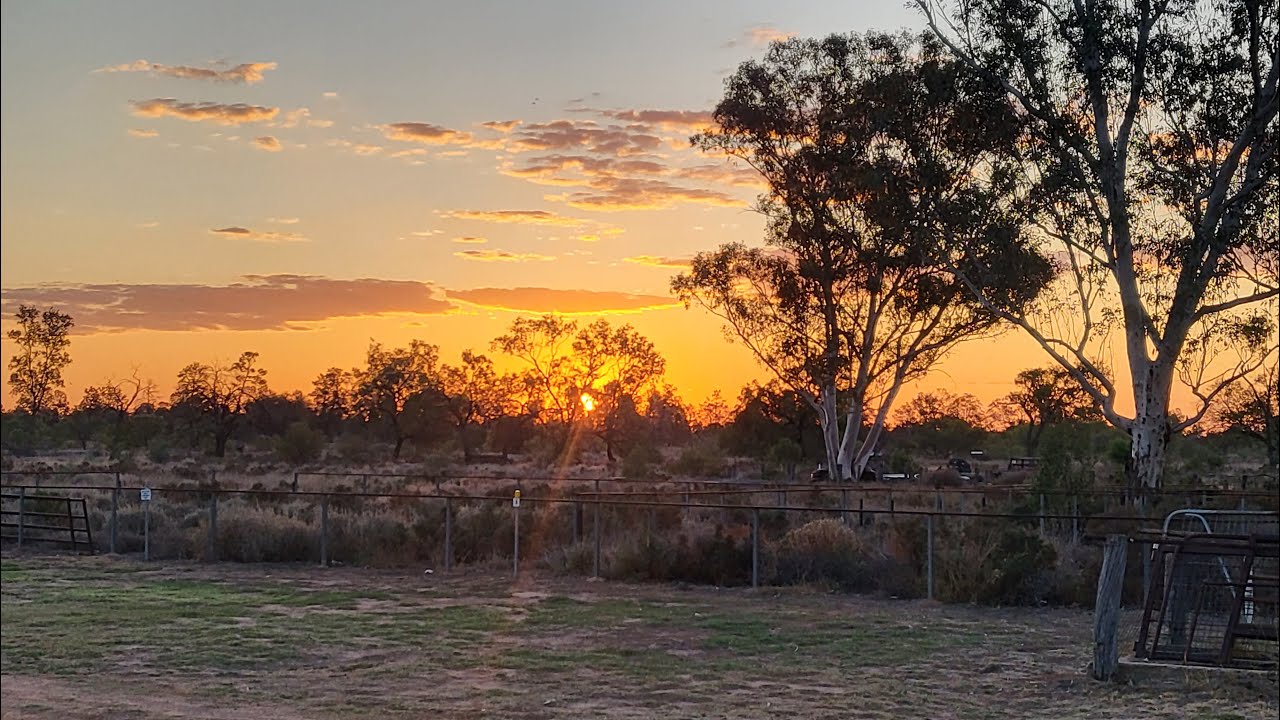 Bowra Wildlife Sanctuary, Cunnamulla, Queensland - YouTube