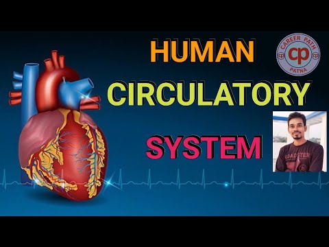 Human circulatory system in #short - YouTube