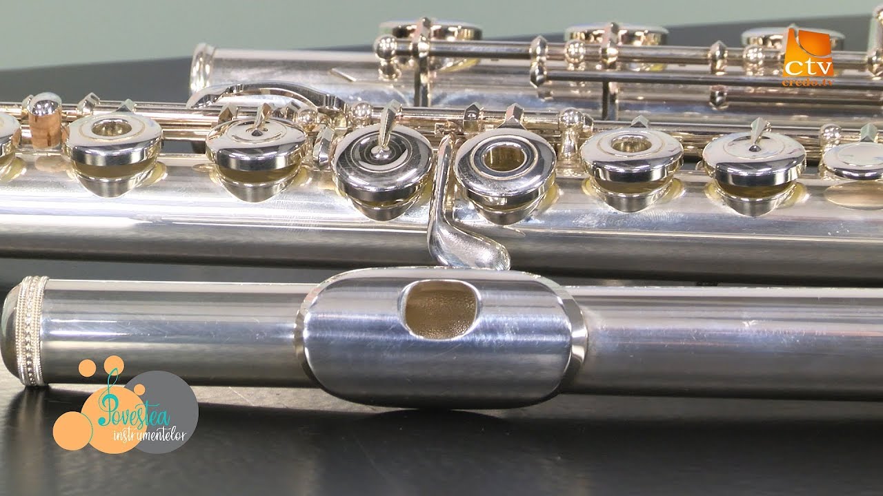 Ep. 003. Povestea Instrumentelor - Flaut - YouTube