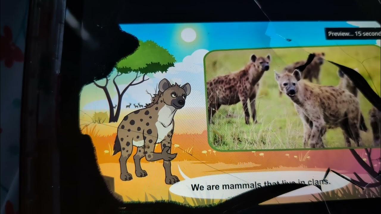 teaching meet the animals 75 spotted Hyena - YouTube