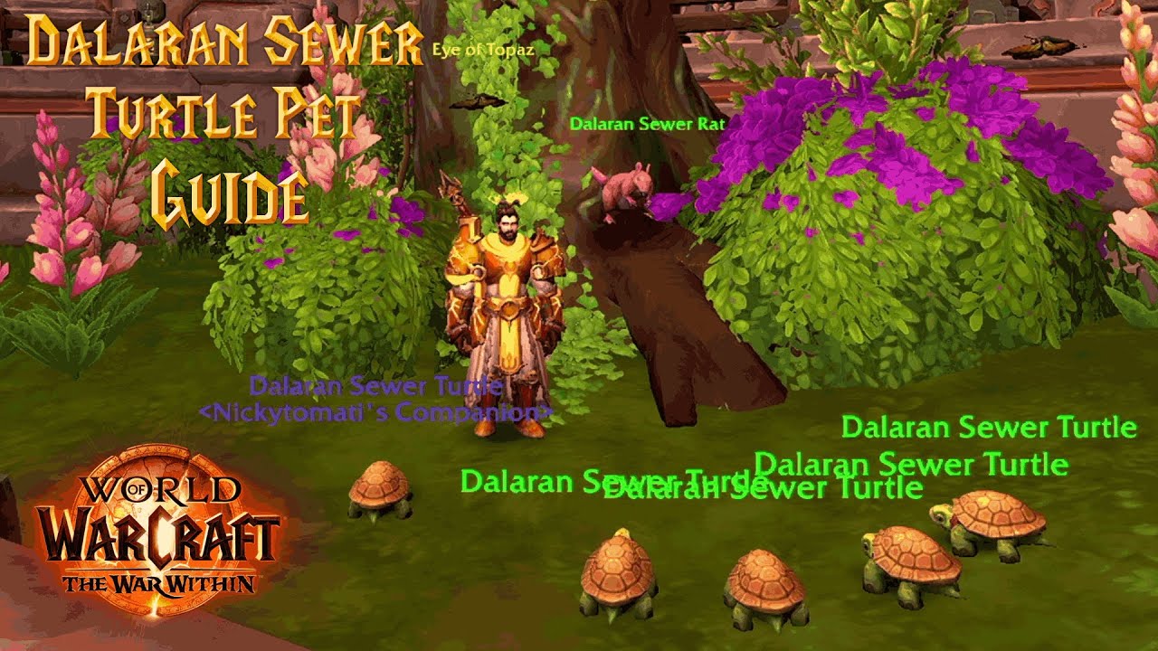 Dalaran Sewer Turtle Pet GUIDE - WoW The War Within - YouTube
