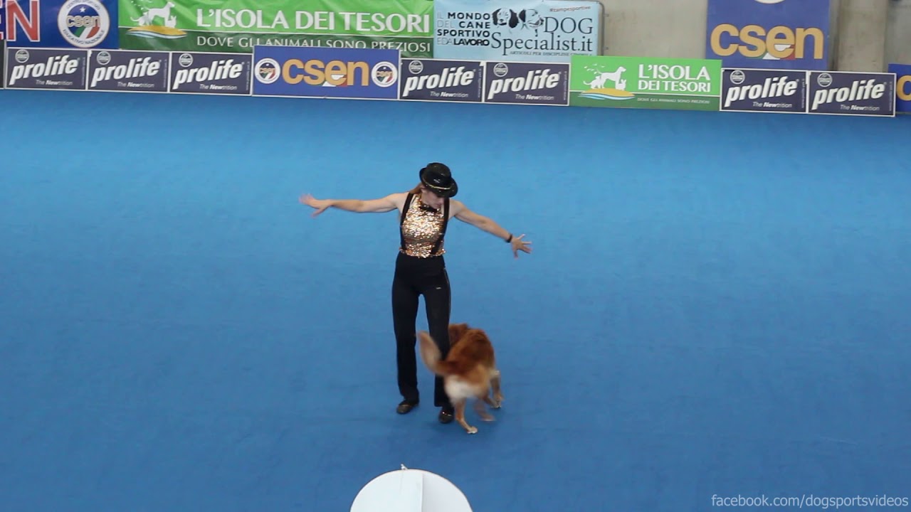 OEC2019 Sandra Roth & Boogie - Heelwork to Music WINNER - YouTube
