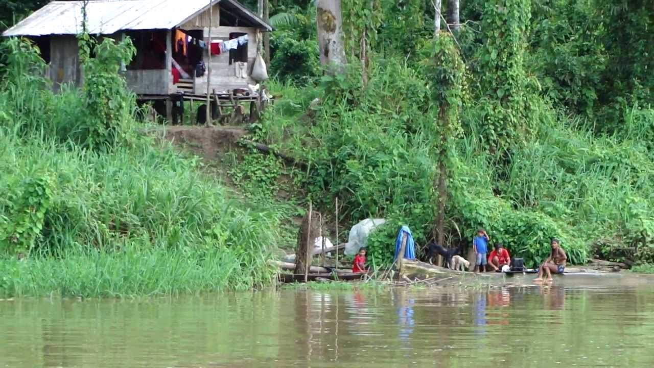 RIBEIRINHOS AS MARGENS DO RIO NA AMAZÔNIA - YouTube