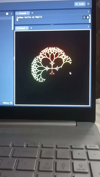 python turtle - YouTube