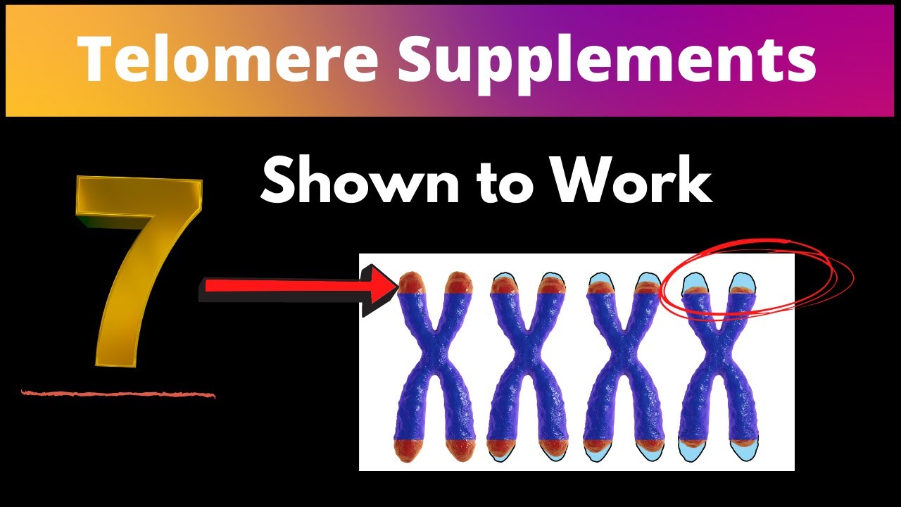 Telomere Supplements: Which Ones Really Work? - YouTube