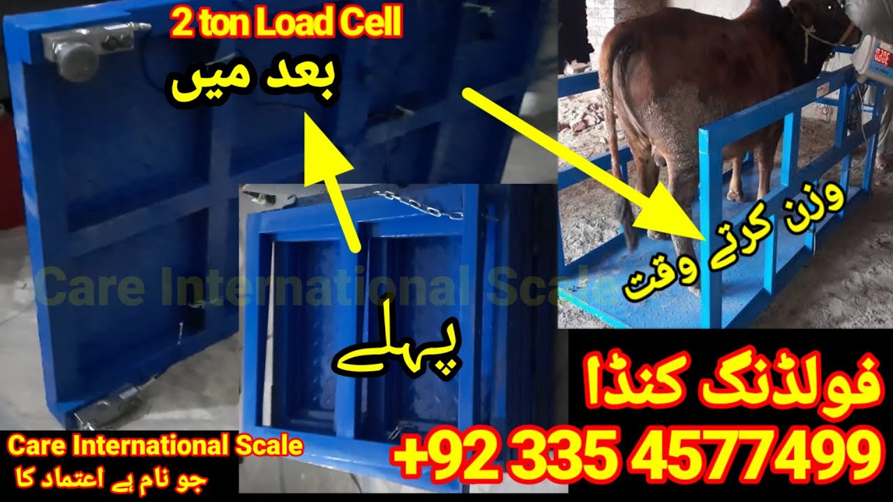 folding weighing Machine for Cattle Farming | Animal Weighing Scale in ...