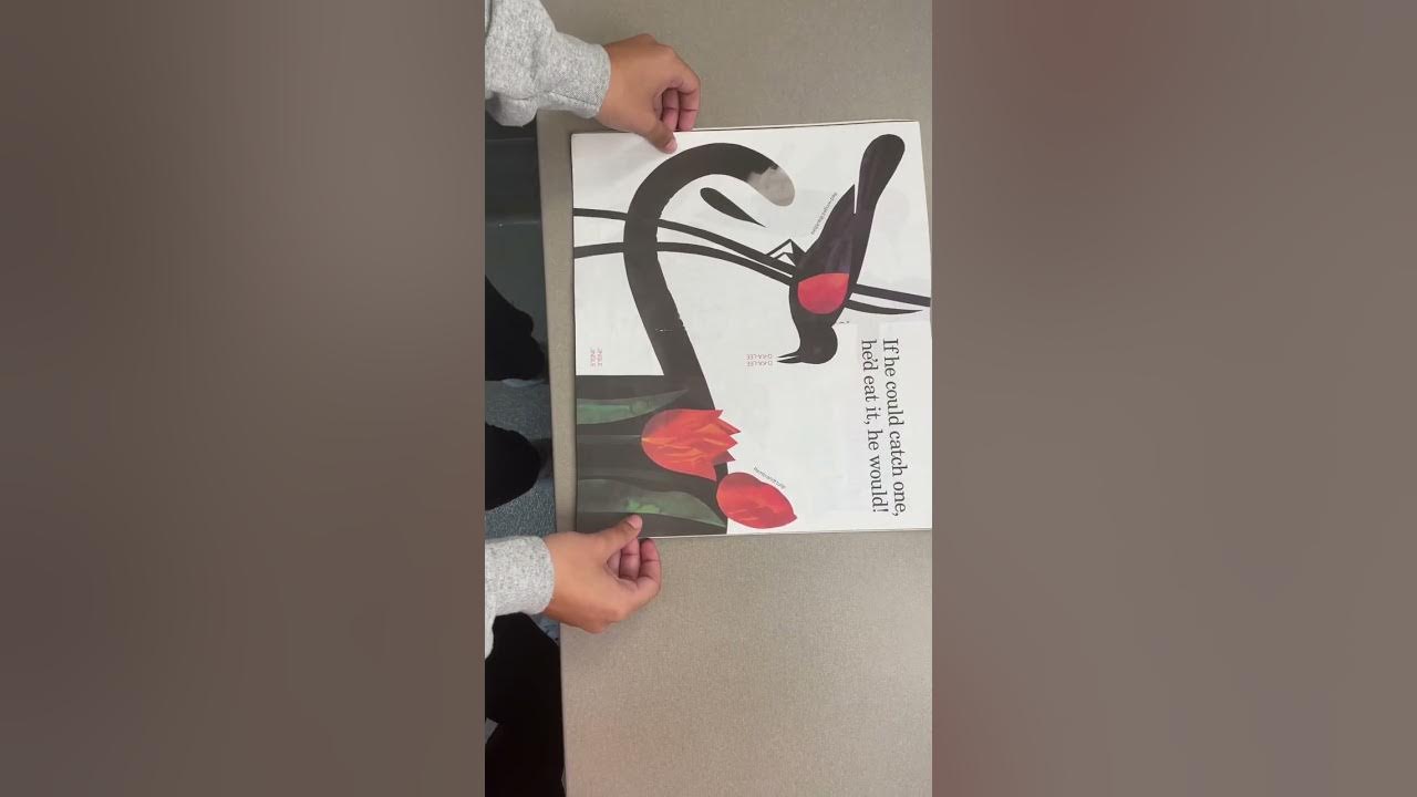 Feathers for lunch by Lois Ehlert - YouTube