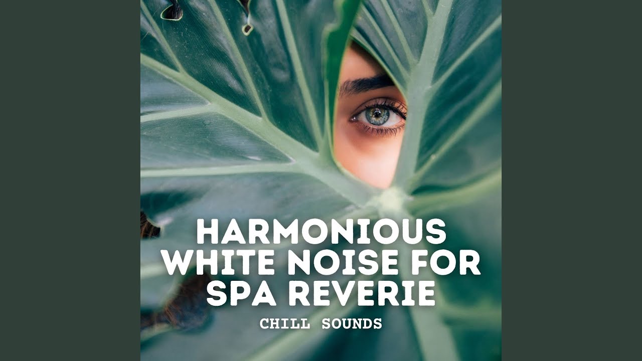 Serene Reverie Soundscapes - YouTube