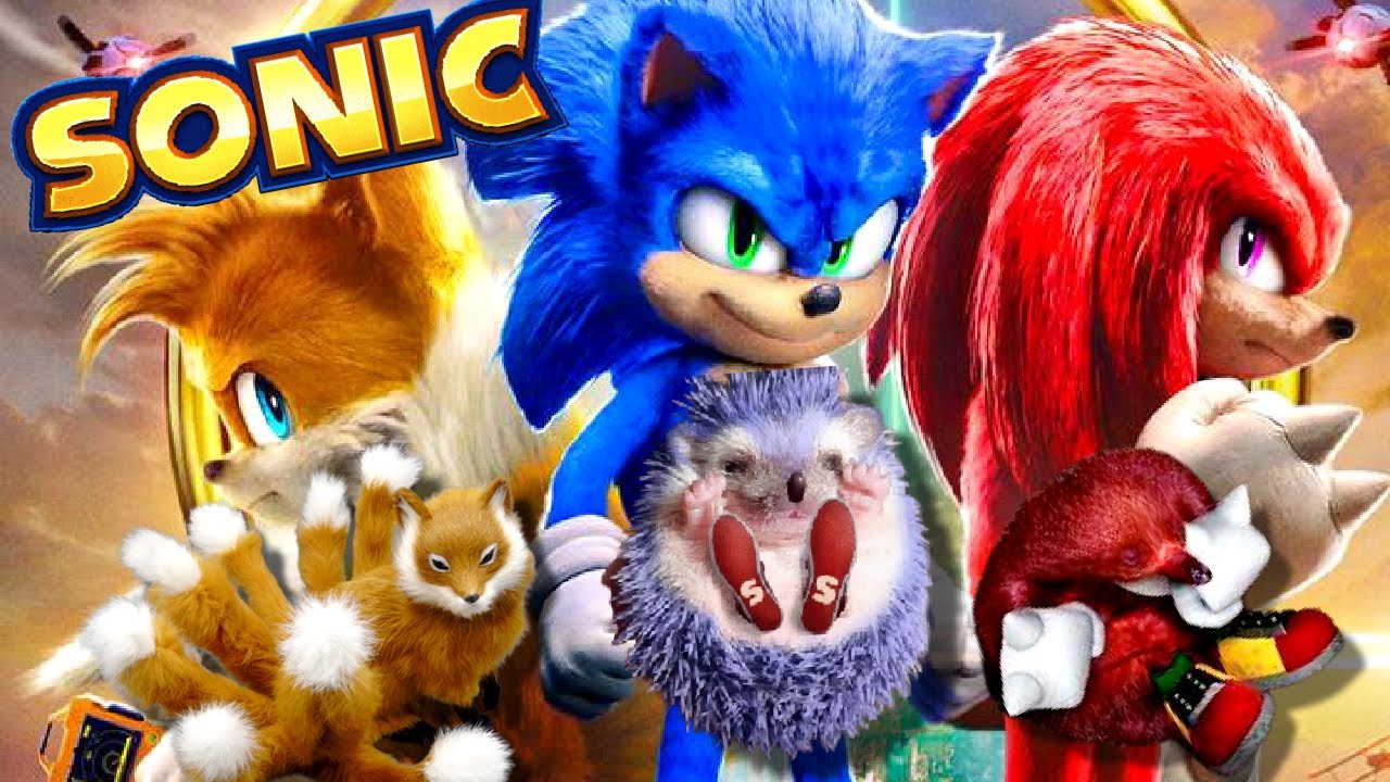 🧩 SONIC!! ESPECIAL💥 The Hedgehog na VIDA REAL Todos os Personagens I ...
