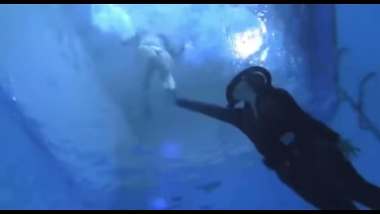 Scuba Girl Drowns Bikini Girl Youtube