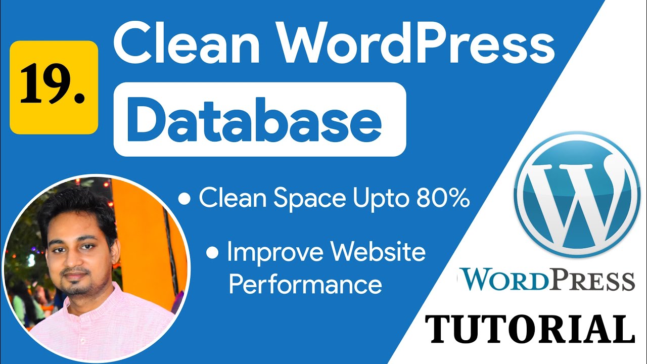 How To Clean Your Wordpress Database 2024 How To Optimize Wordpress