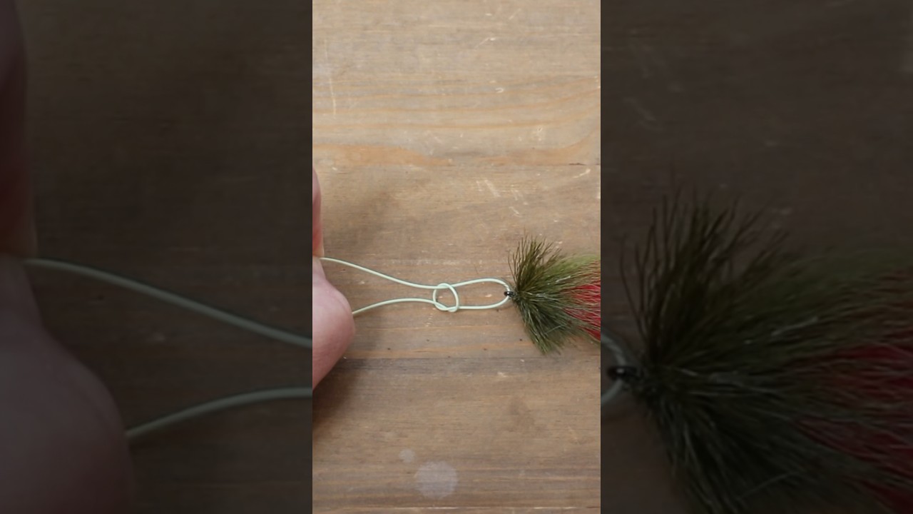 Easiest How To Tie The Non Slip Loop Knot #fishingtips #fishing #flyfish - Fishing