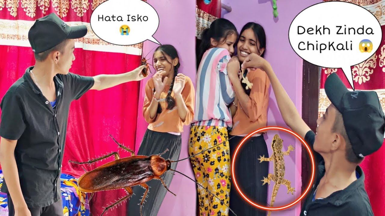 Cockroach🪳 Prank On My Sister😱 Funniest Reaction🤣Epic - YouTube