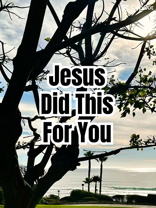 How Jesus Changed The World Forever - YouTube