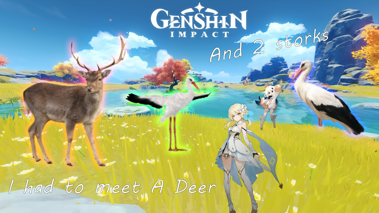 I Meet a Deer and 2 storks.... Genshin Impact #18 - YouTube
