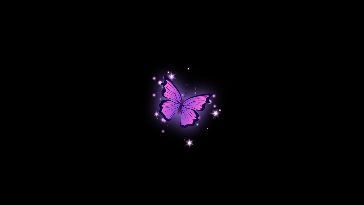 Butterfly black screen effect | butterfly flying black screen video ...