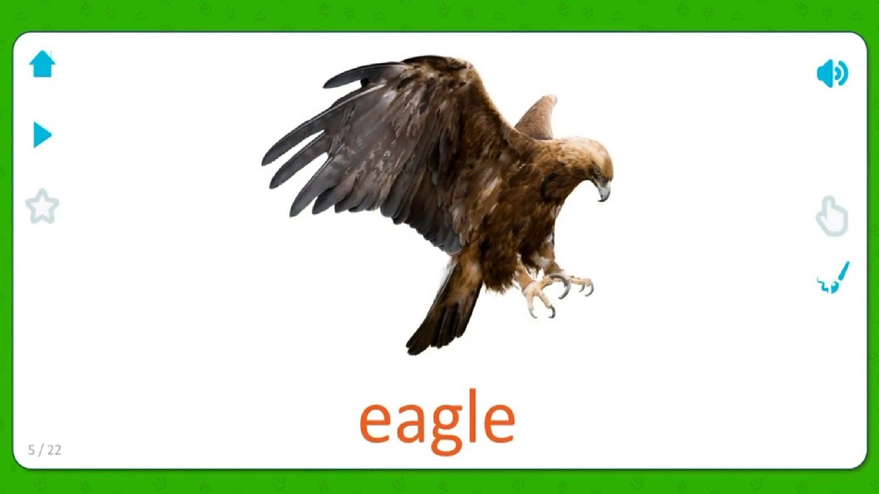 English For Kids - Birds For Kids - Flashcards for Kids - App for kids ...