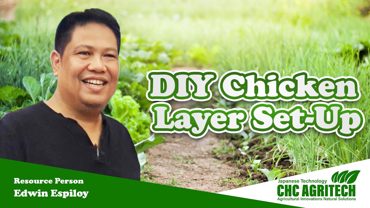 CHC Agritech Talk: DIY Chicken Layer Setup - YouTube