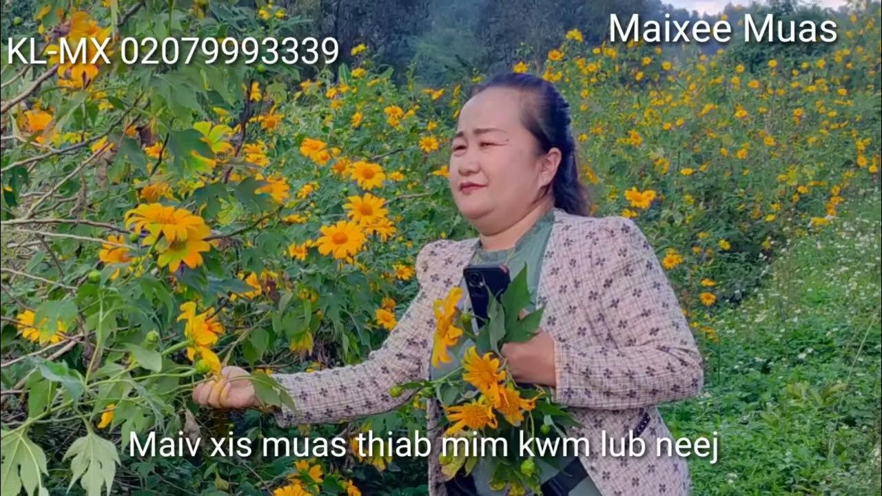 Maiv xis muas thiab mim kwm lub neej 11/26/2023 - YouTube