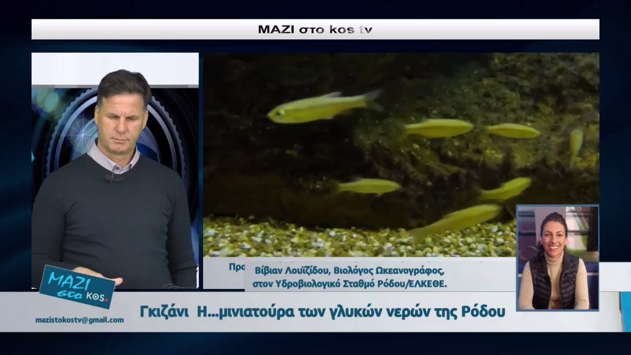 Προωθητικό βίντεο για το μοναδικό ψαράκι με το όνομα γκιζάνι από το ...