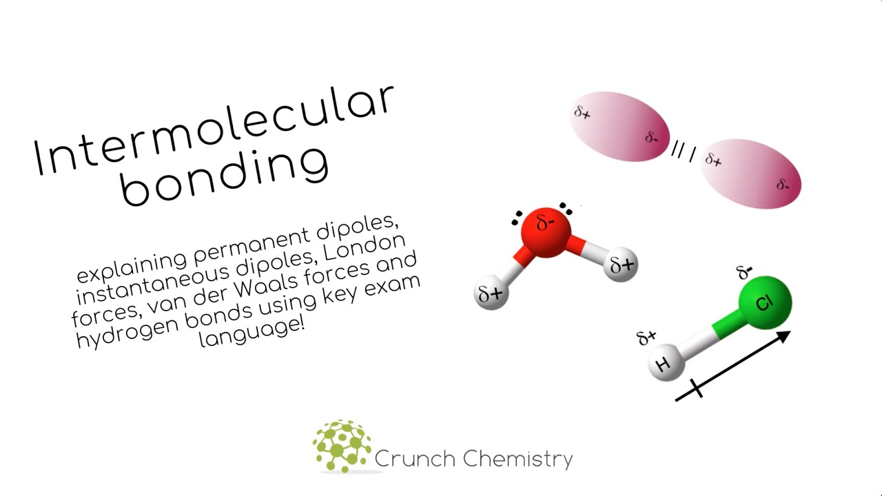 Intermolecular bonding - YouTube