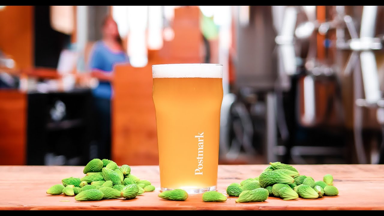 Postmark Brewing - Spruce Tip Ale - YouTube