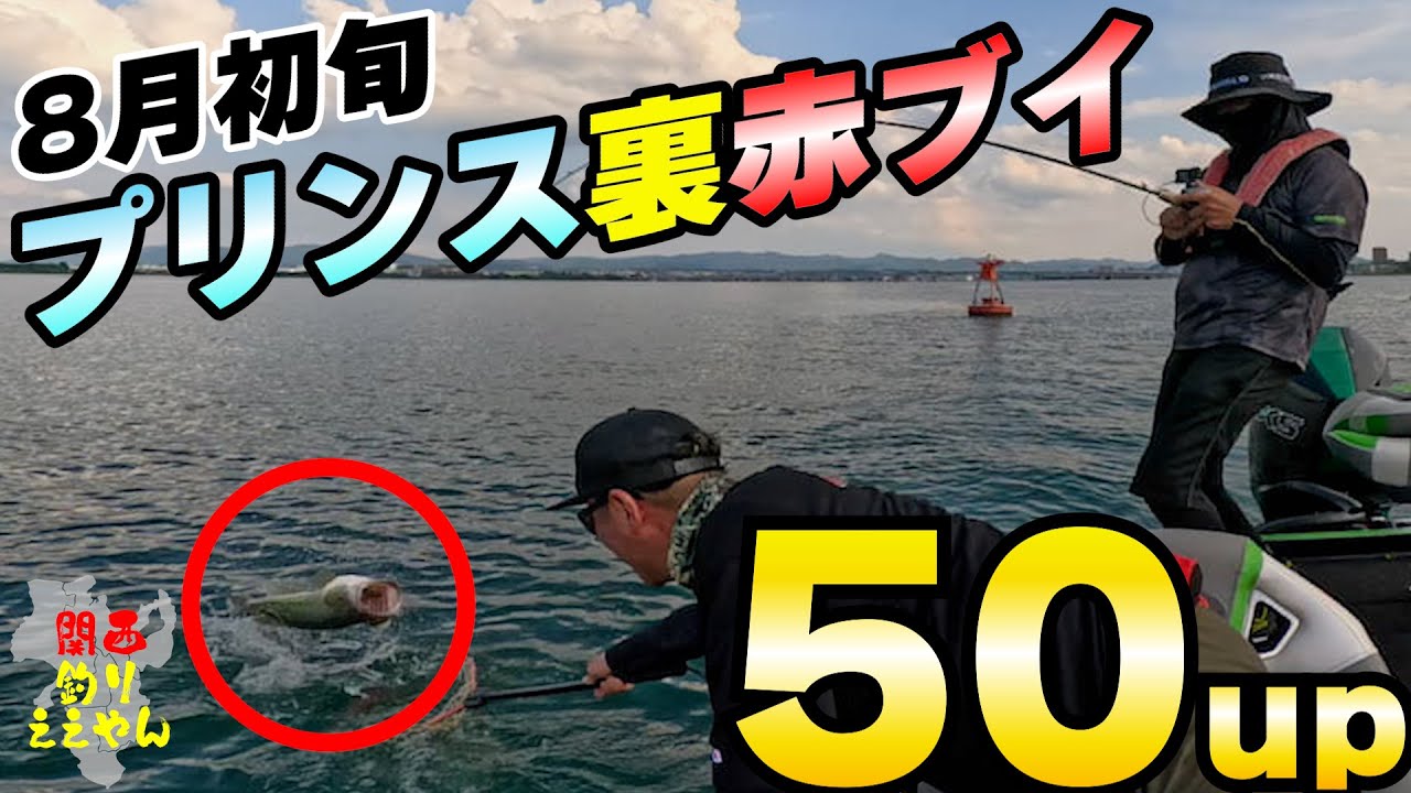 8月初旬のプリンス裏赤ブイで50UP - YouTube